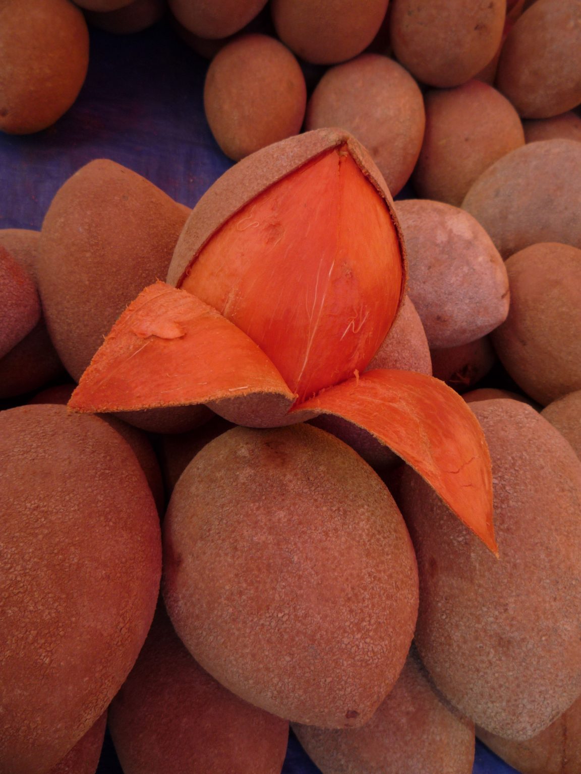 Beneficios Del Mamey - MexiWoman